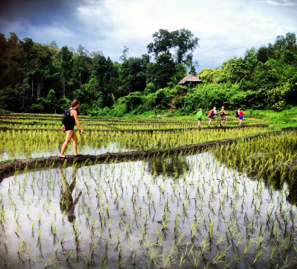Mae Taeng River - Trekking & Hiking the Jungle | Next Step Thailand Tours
