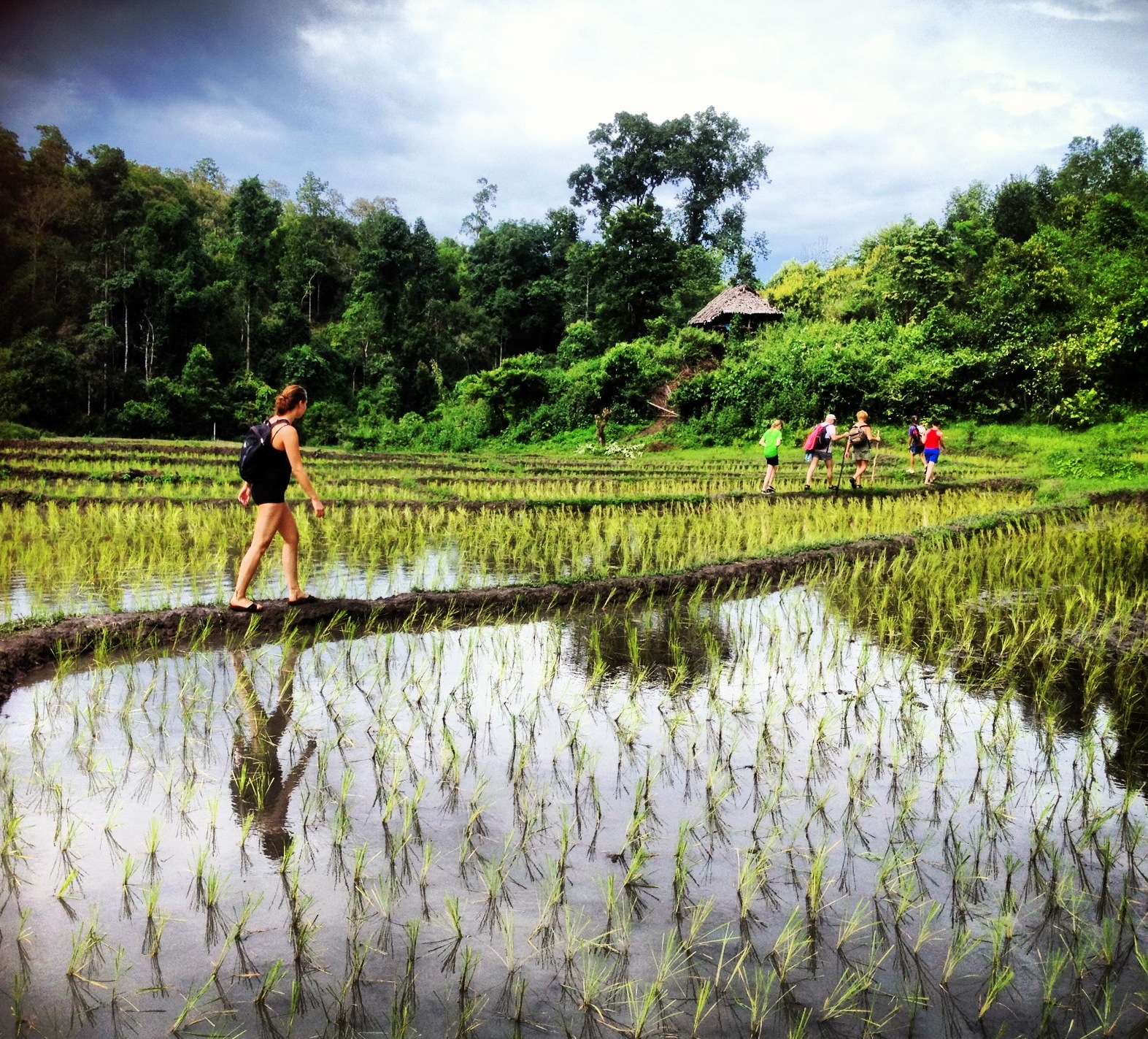 Mae Taeng River - Trekking & Hiking the Jungle | Next Step Thailand Tours